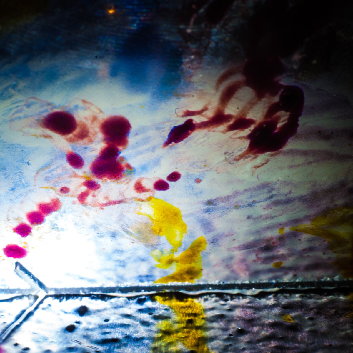 Psychedelic Landscapes – Alison Grace Koehler